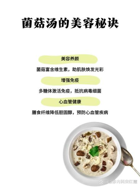 菌菇汤的功效与作用及禁忌_什么人不能喝菌菇汤-第3张图片-山城妙识