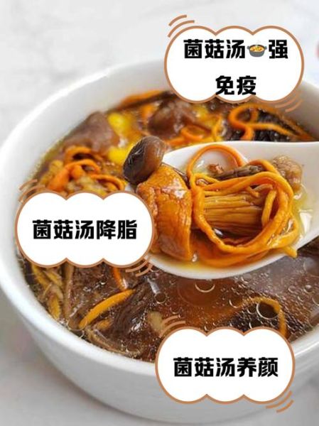 菌菇汤的功效与作用及禁忌_什么人不能喝菌菇汤-第1张图片-山城妙识