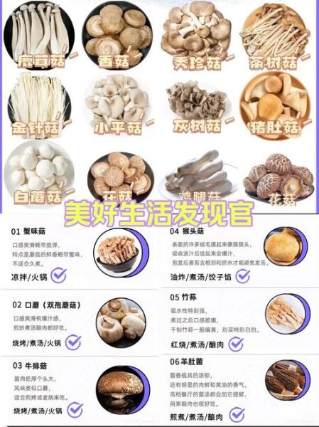 菌菇汤的功效与作用及禁忌_什么人不能喝菌菇汤-第2张图片-山城妙识