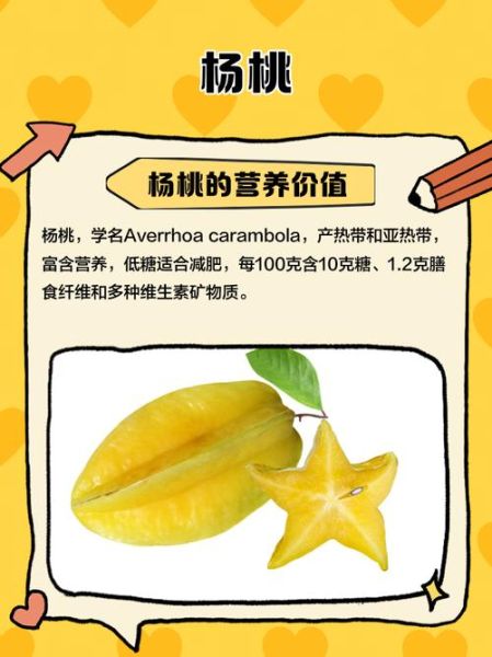 杨桃英文怎么说_杨桃英文发音-第3张图片-山城妙识