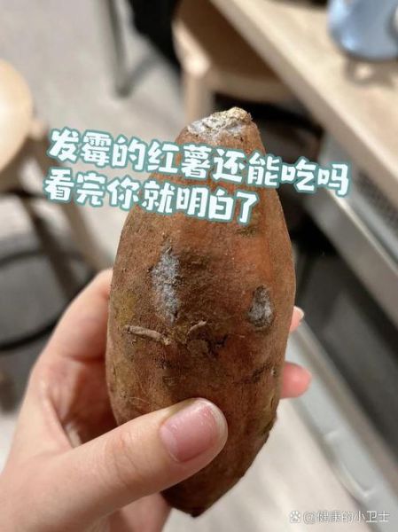 过期食品还能吃吗_如何判断食物变质-第2张图片-山城妙识 过期食品还能吃吗_如何判断食物变质-第2张图片-山城妙识