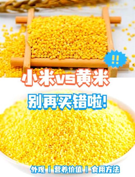 黄米和小米的区别_哪个更营养-第2张图片-山城妙识 黄米和小米的区别_哪个更营养-第2张图片-山城妙识