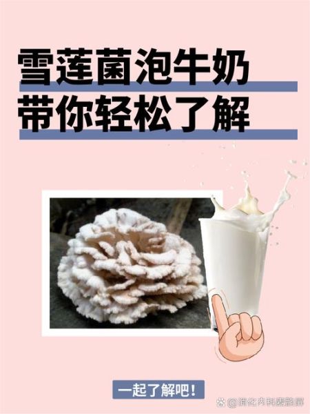 雪莲菌泡牛奶可以长期喝吗_长期饮用的利弊-第1张图片-山城妙识
