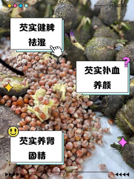 芡实吃了有什么好处和坏处_芡实适合什么人吃-第1张图片-山城妙识