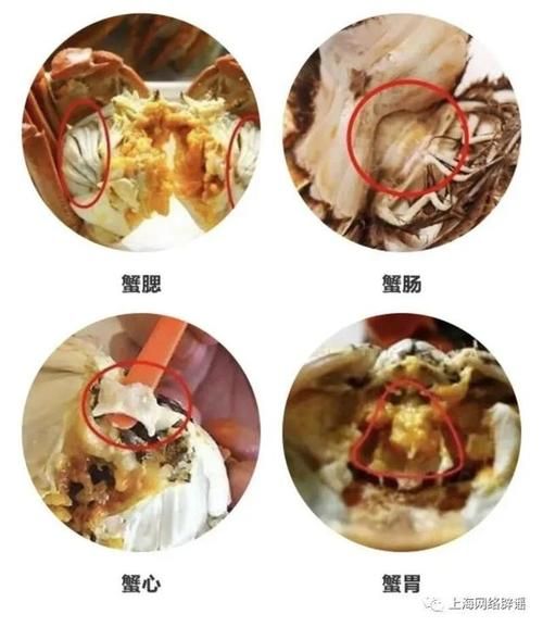 螃蟹怎么分辨屎和蟹黄_蟹黄和蟹屎的区别-第3张图片-山城妙识