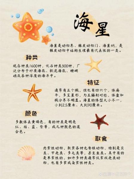 海星有毒吗_被海星扎了怎么办-第1张图片-山城妙识