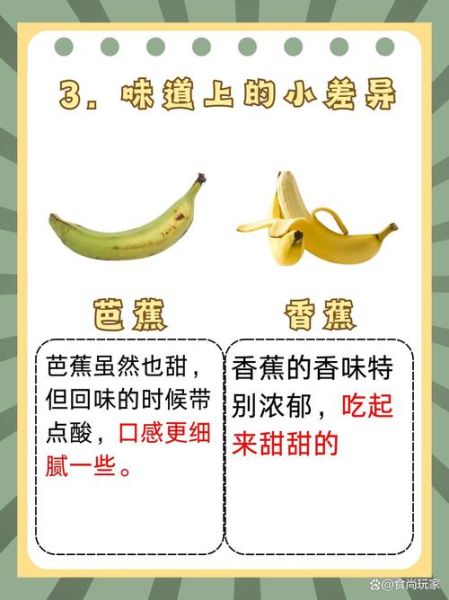 芭蕉图片大全_如何识别芭蕉与香蕉-第1张图片-山城妙识
