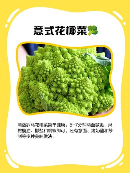 罗马花椰菜怎么种_罗马花椰菜营养价值-第1张图片-山城妙识