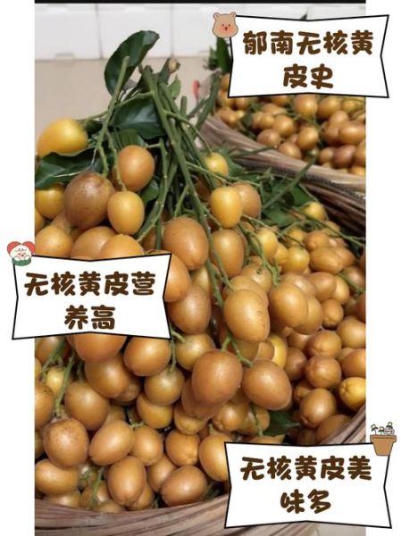 黄皮核的功效与作用_黄皮核能泡水喝吗-第1张图片-山城妙识