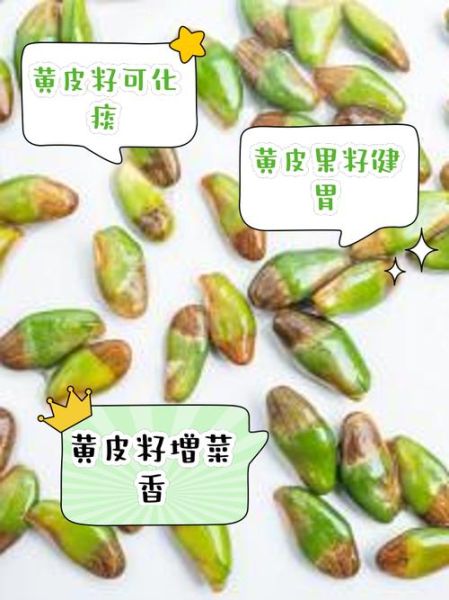 黄皮核的功效与作用_黄皮核能泡水喝吗-第2张图片-山城妙识