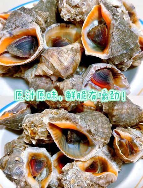 海螺怎么吃_海螺清洗方法-第2张图片-山城妙识