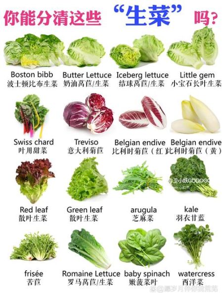 蔬菜大全图片和名字_蔬菜名称大全有哪些-第3张图片-山城妙识