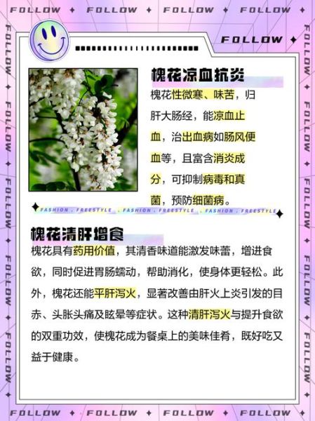 孕妇能吃槐花粉吗_槐花粉对孕妇的影响-第3张图片-山城妙识