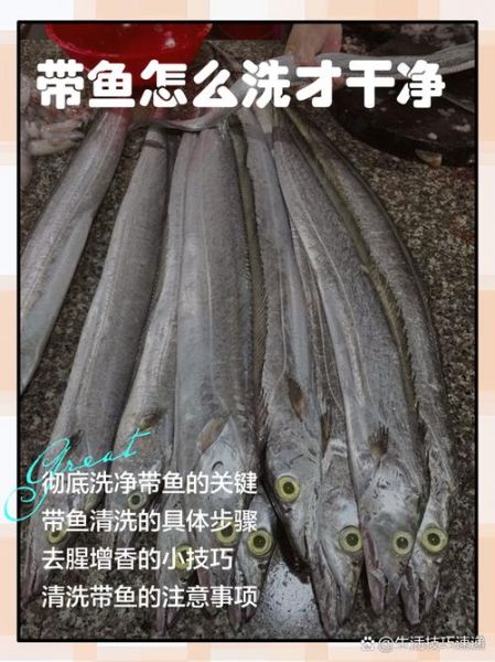 带鱼内脏怎么清理_带鱼内脏怎么处理干净-第1张图片-山城妙识