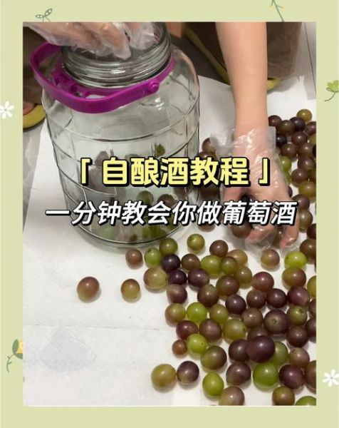 葡萄酒的制作方法视频教程_家庭自酿葡萄酒步骤-第1张图片-山城妙识