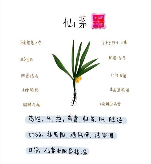 壮阳中药秘方_多久见效-第1张图片-山城妙识