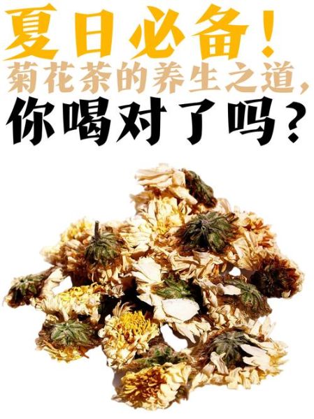 白菊花茶的功效与作用_白菊花茶怎么泡才正确-第1张图片-山城妙识