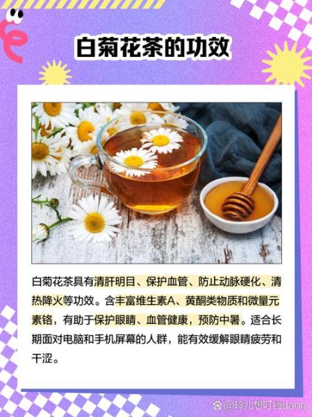 白菊花茶的功效与作用_白菊花茶怎么泡才正确-第2张图片-山城妙识