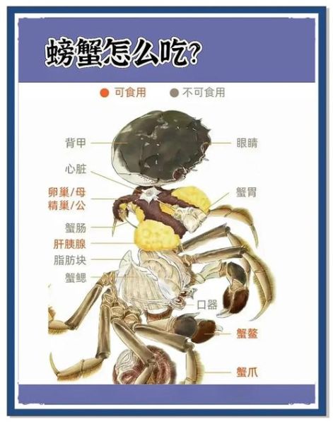螃蟹不能和什么一起吃_吃螃蟹的禁忌有哪些-第2张图片-山城妙识