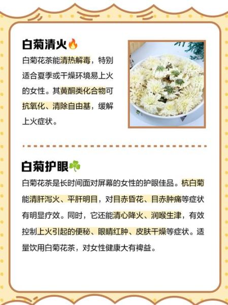 白菊花茶的功效与作用_白菊花茶怎么泡才正确-第3张图片-山城妙识