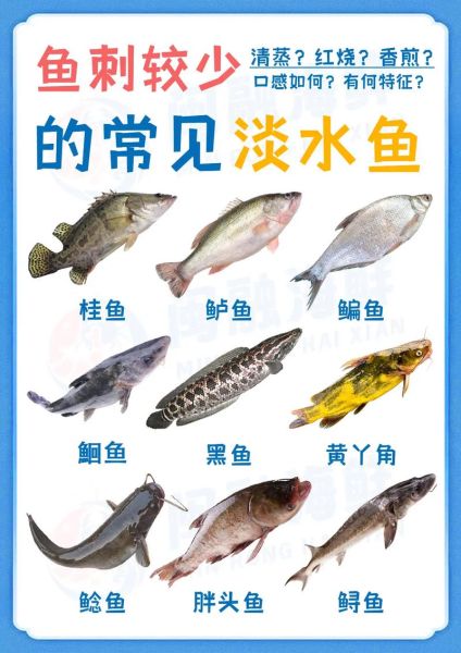 淡水大鱼有哪些_淡水大鱼怎么养-第2张图片-山城妙识