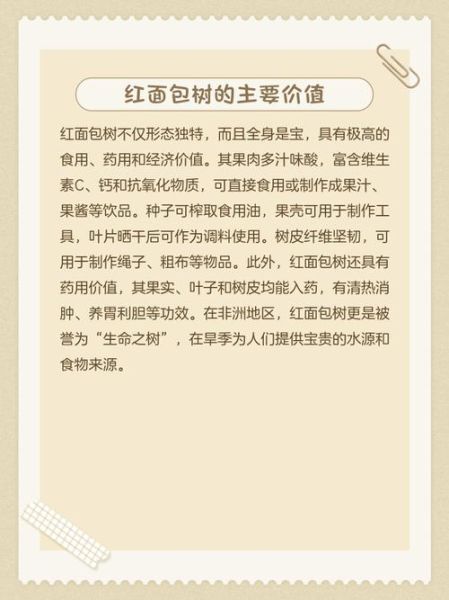面包树出走了怎么办_面包树出走了还能活吗-第2张图片-山城妙识