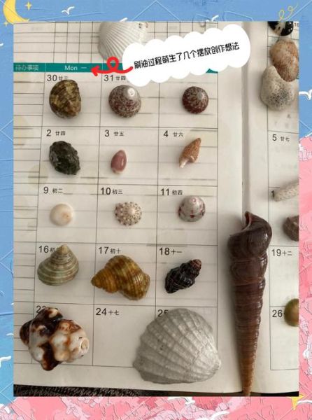风干蛤蜊肉怎么做好吃_风干蛤蜊肉的做法大全-第2张图片-山城妙识