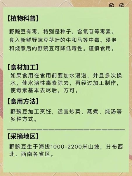 豌豆的功效与作用及禁忌_豌豆什么人不能吃-第1张图片-山城妙识