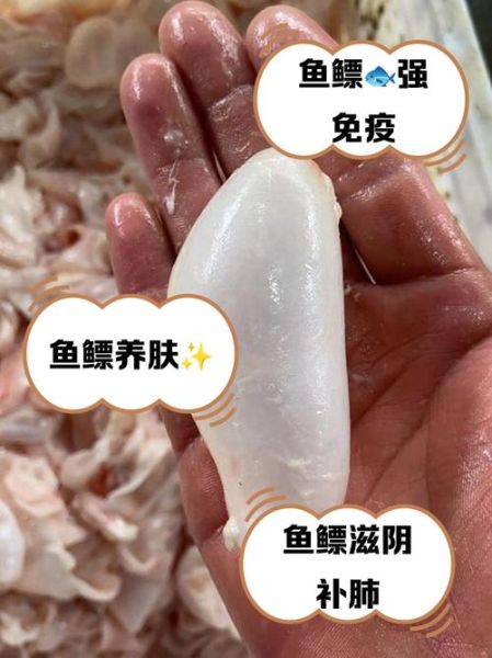 鱼鳔是什么_鱼鳔的功效与作用-第1张图片-山城妙识