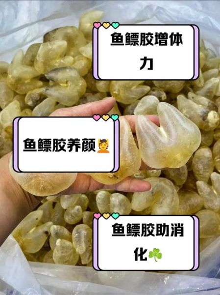 鱼鳔是什么_鱼鳔的功效与作用-第3张图片-山城妙识