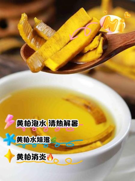 黄柏的功效与作用_黄柏怎么使用最有效-第3张图片-山城妙识