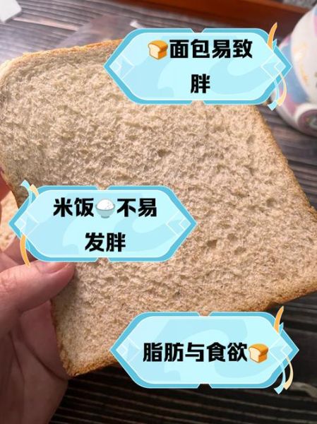 面包和米饭哪个容易胖_减肥期间选哪个-第1张图片-山城妙识