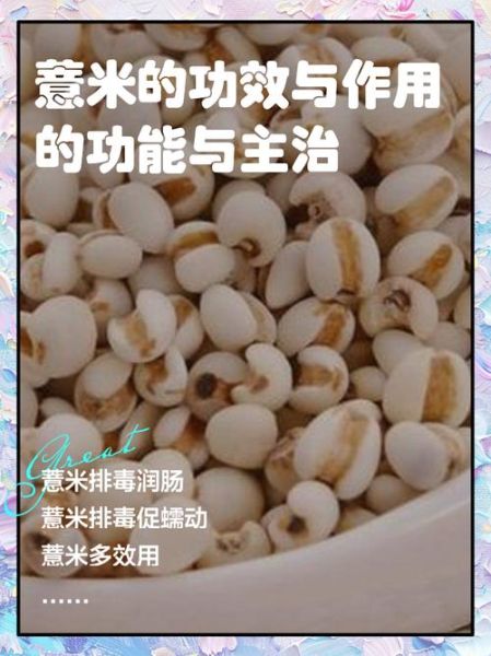 薏米仁的功效与作用_薏米仁怎么吃祛湿效果最好-第1张图片-山城妙识