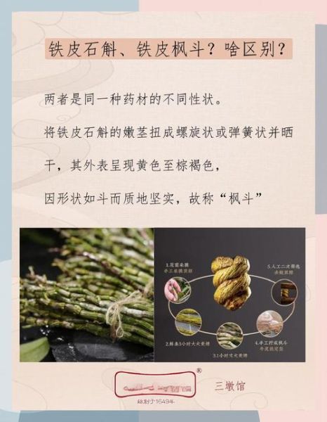 铁皮石斛怎么吃最好_铁皮石斛的功效与作用-第3张图片-山城妙识