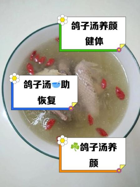 鸽子汤哪些人不能喝_鸽子汤禁忌有哪些-第1张图片-山城妙识