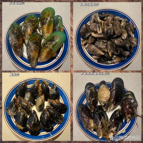 青口是什么意思_青口和淡菜的区别-第1张图片-山城妙识