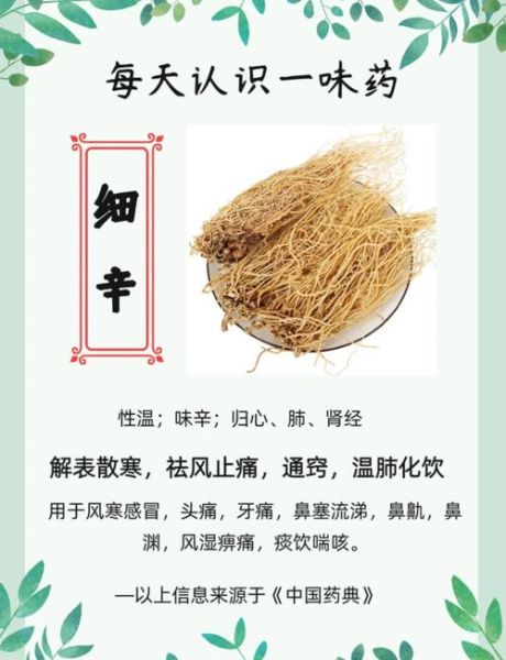 细辛的功效与作用_细辛主治哪些疾病-第1张图片-山城妙识