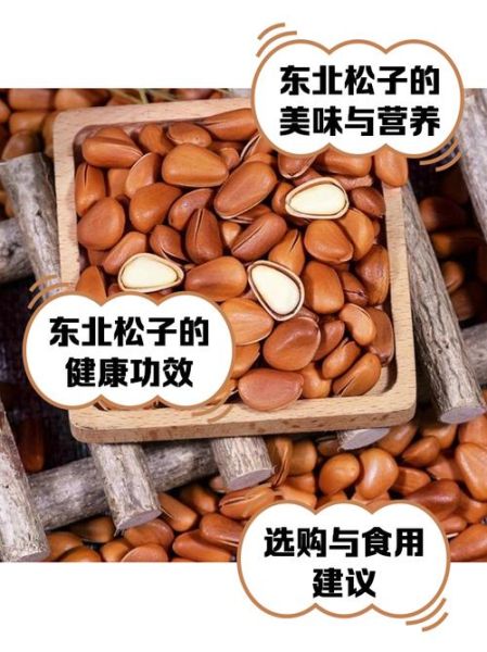 东北松子哪里产的最好_东北松子产地排名-第1张图片-山城妙识