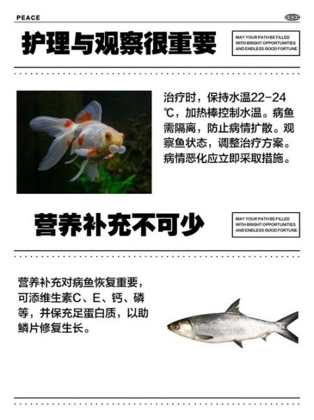 鱼炸鳞怎么治_鱼炸鳞用什么药-第2张图片-山城妙识