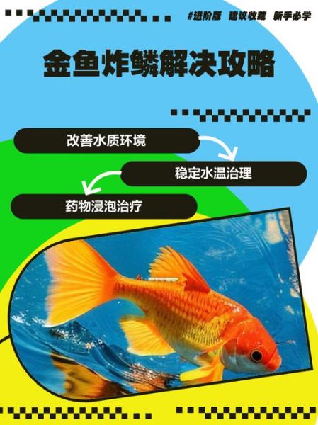 鱼炸鳞怎么治_鱼炸鳞用什么药-第3张图片-山城妙识