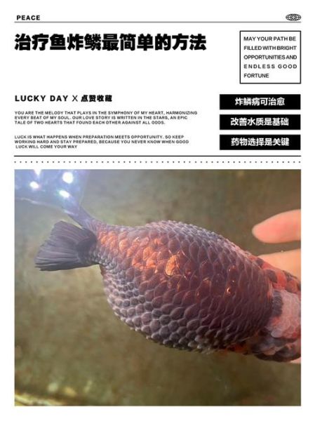 鱼炸鳞怎么治_鱼炸鳞用什么药-第1张图片-山城妙识
