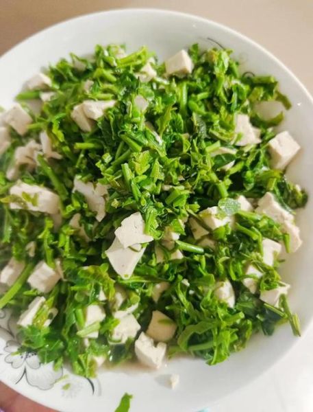 香椿拌豆腐怎么做_香椿拌豆腐的家常做法大全-第1张图片-山城妙识