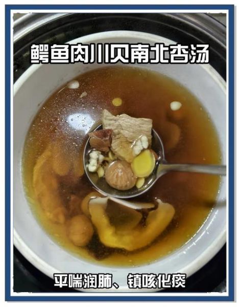 鳄鱼肉炖汤怎么做_鳄鱼肉炖汤的功效与禁忌-第1张图片-山城妙识