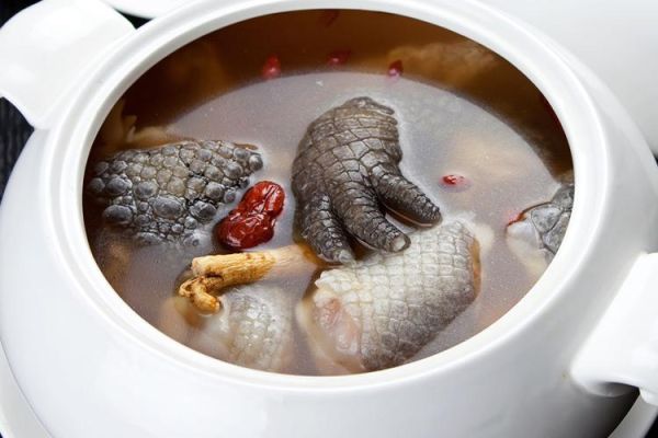 鳄鱼肉炖汤怎么做_鳄鱼肉炖汤的功效与禁忌-第3张图片-山城妙识