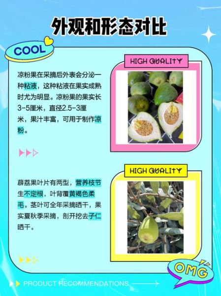 凉粉果的功效与作用_凉粉果怎么吃最好-第2张图片-山城妙识