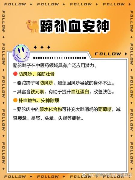 骆驼蹄子是什么_骆驼蹄子为什么分瓣-第1张图片-山城妙识