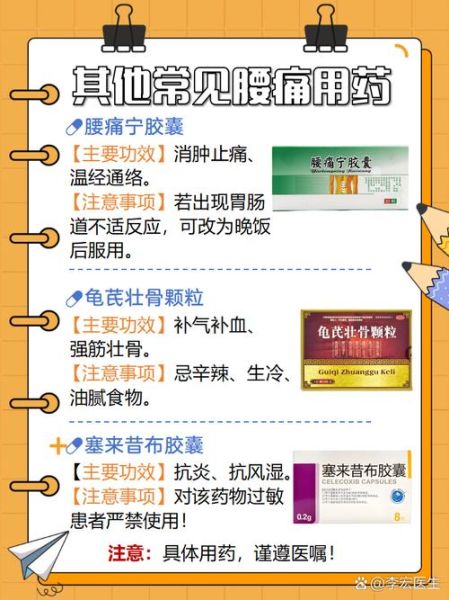 腰痛吃什么药最好_腰痛吃什么药最快见效-第1张图片-山城妙识