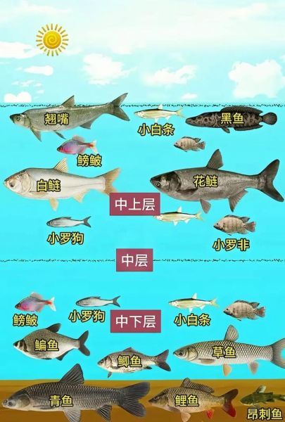 钓白鲢花鲢用什么饵料_钓白鲢花鲢怎么调漂-第1张图片-山城妙识