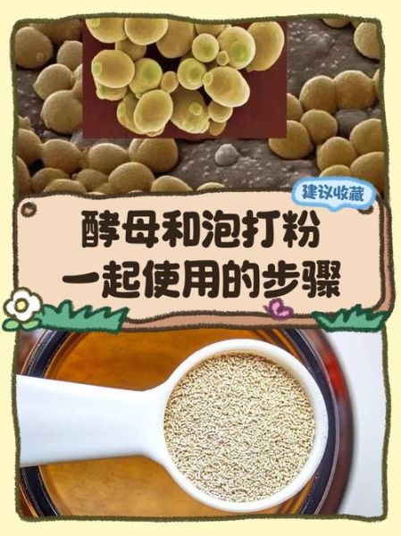 泡打粉和酵母的区别_泡打粉可以代替酵母吗-第1张图片-山城妙识