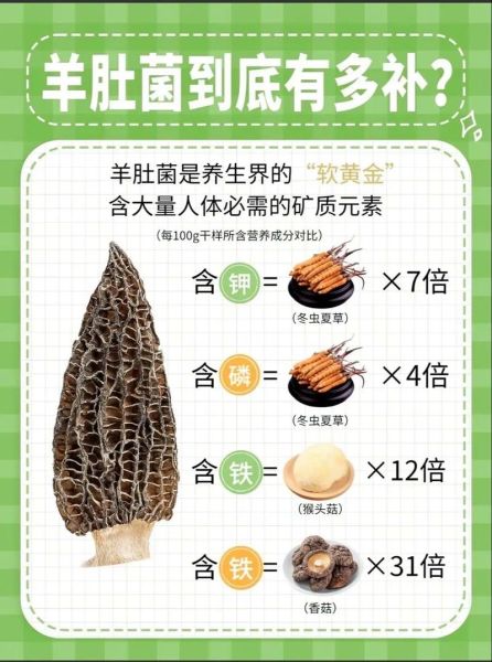羊肚的功效与作用_羊肚的营养价值有哪些-第1张图片-山城妙识